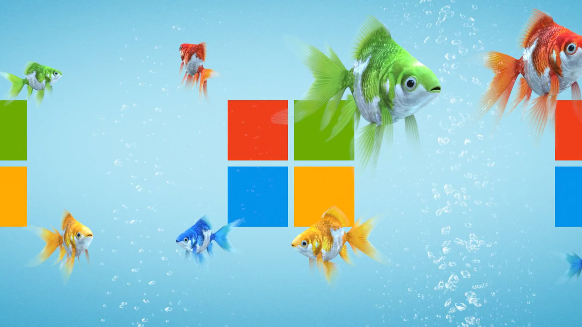 Times Square Cube Goldfish - Hinge